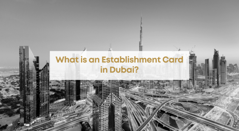 What is an Establishment Card in Dubai? - Ez Bizz Corporate Services LLC
